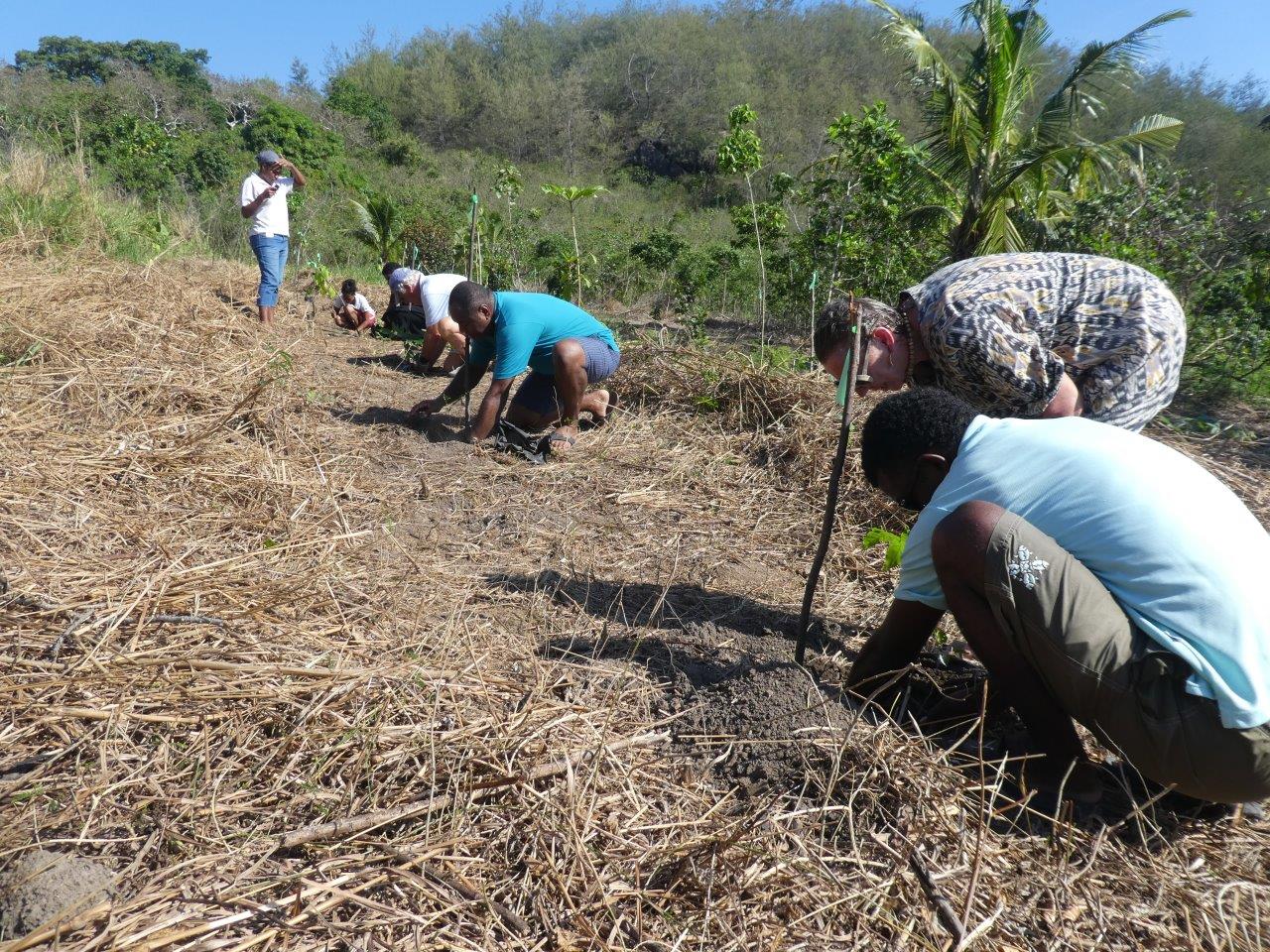 Tree Planting | MES Fiji